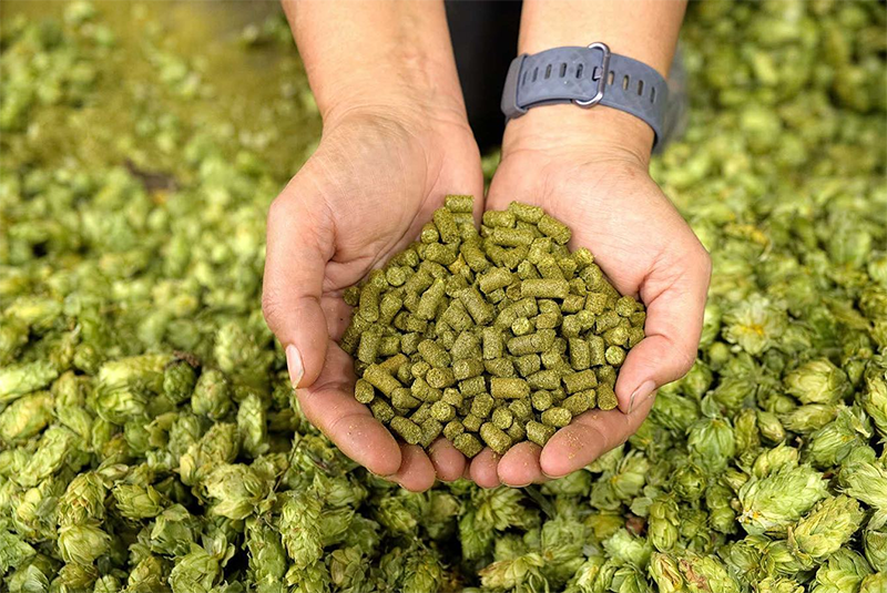 How many KG hop pallets can we hold in hop gun for one time? - Brewman